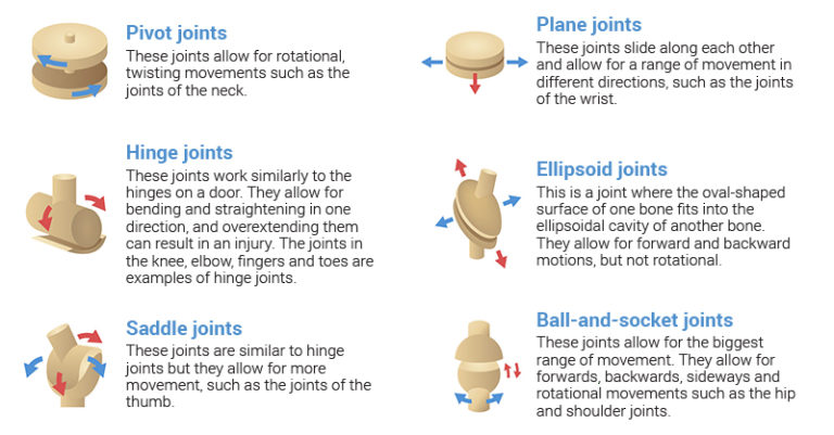 Joint Info - jointscenter.org